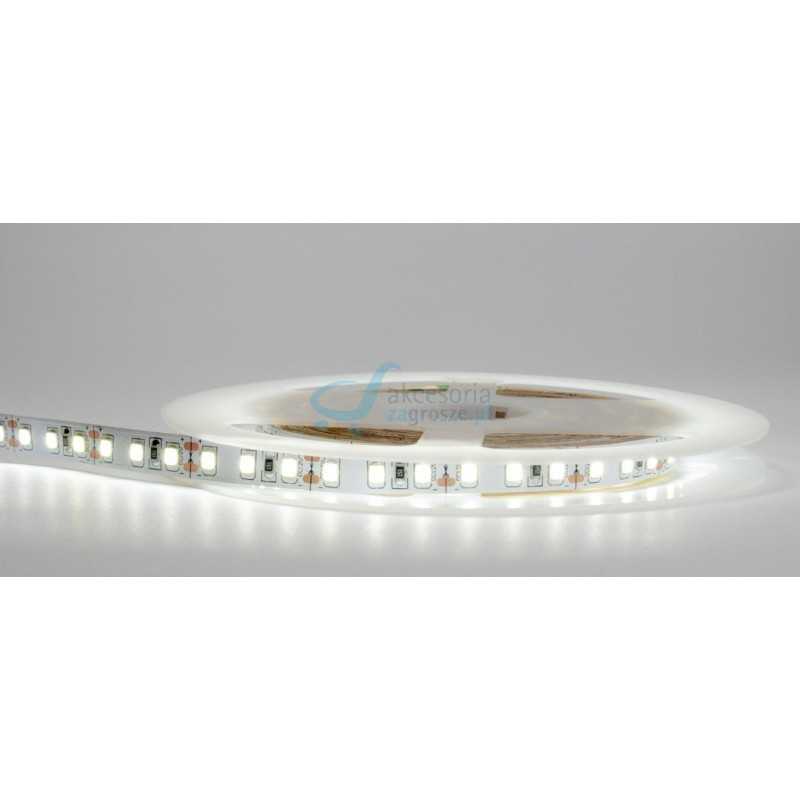 Taśma LED POWER 2835 IP20 120 LED/m 9,6W/m Ciepła Biała -1 metr - sklep ...
